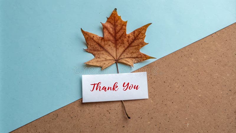 Autumn Thank You Note Dried Leaf and Minimalist Design Stock ...