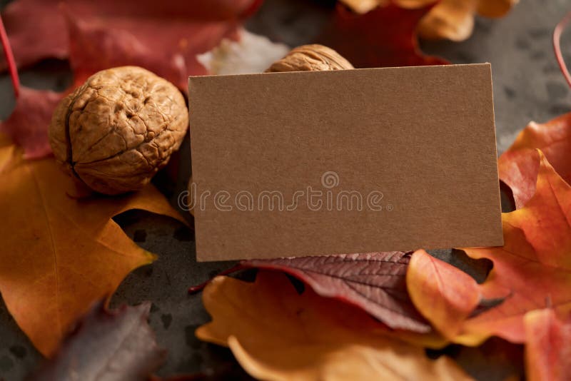 Autumn Theme Background with Leaves Over Concrete with Brown Paper Card ...