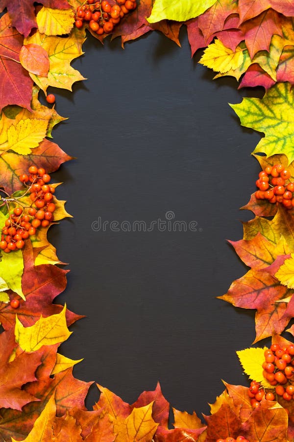 Autumn Theme Background with Maple Leaves. Stock Photo - Image of ...