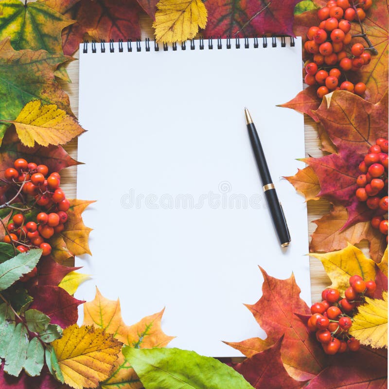 Autumn Theme Background with Maple Leaves , Empty Blank and Pen for ...