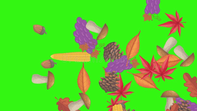 Autumn Theme Design Elements Animation, Graphic Source on Green Screen ...