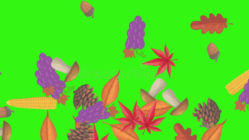 Autumn Theme Design Elements Animation, Graphic Source on Green Screen ...