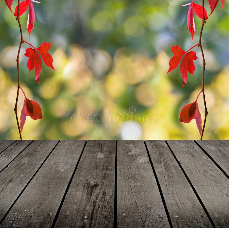 Autumn Theme and Empty Wooden Deck Table. Stock Image - Image of plant ...
