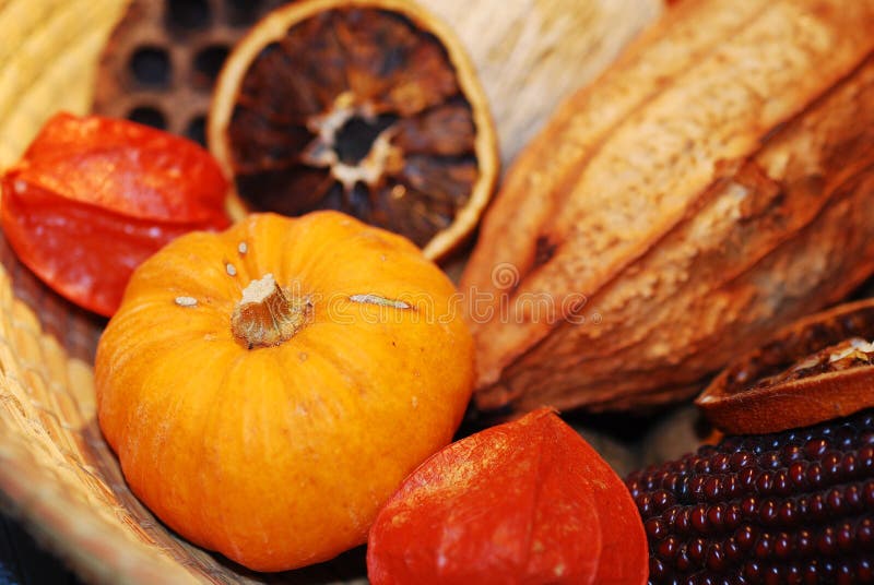 Autumn things composition stock image. Image of fall, isolated - 4230173