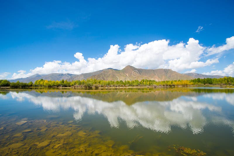 Autumn in Tibet stock photo. Image of beautiful, forest - 69054468