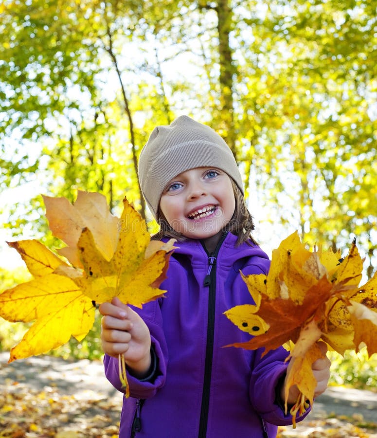 Autumn time stock image. Image of foliage, color, beauty - 27001929