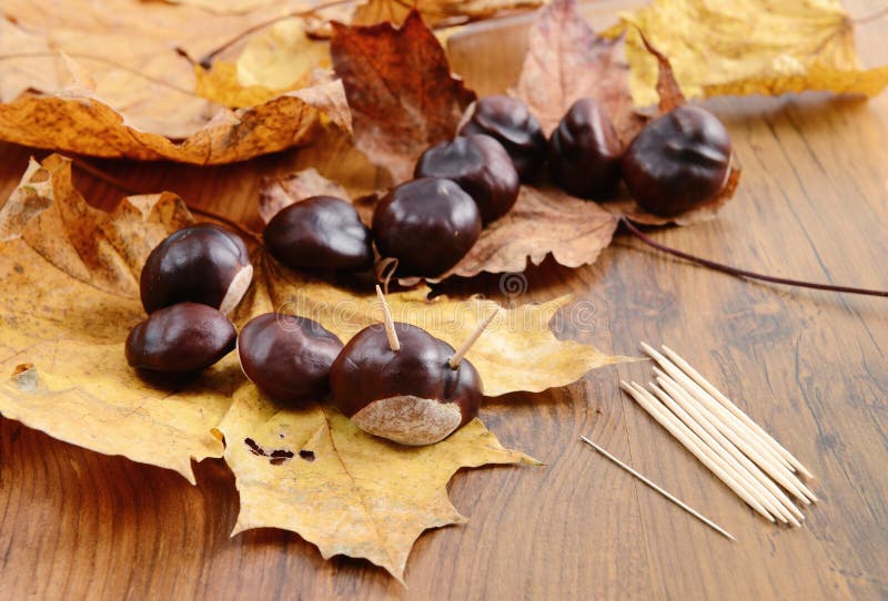 Autumn Tinker Creative Figures of Chestnuts Stock Photo - Image of ...