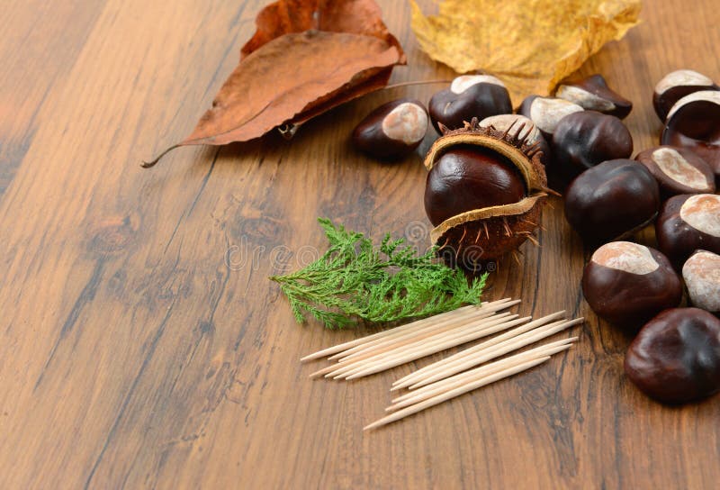 Autumn Tinker Creative Figures of Chestnuts Stock Image - Image of leaf ...