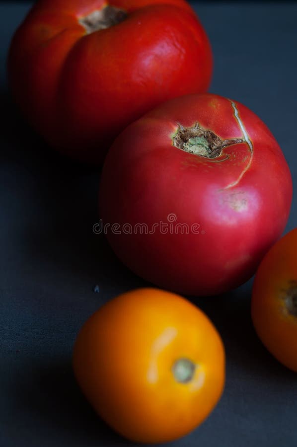 Autumn tomatoes on table stock image. Image of garden - 33456923