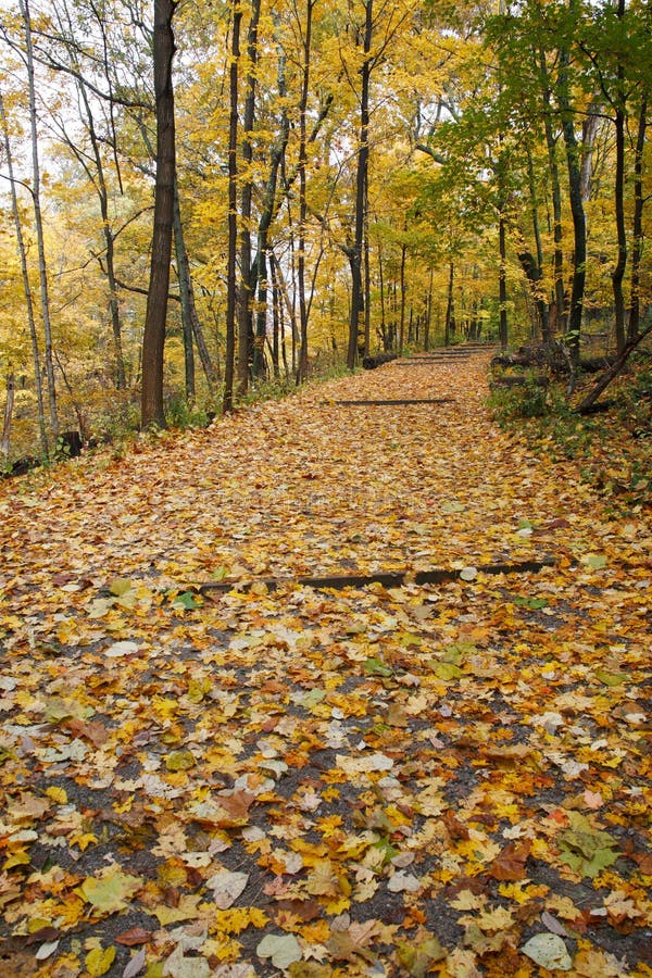 Autumn Trail stock image. Image of pastoral, green, fall - 15316931