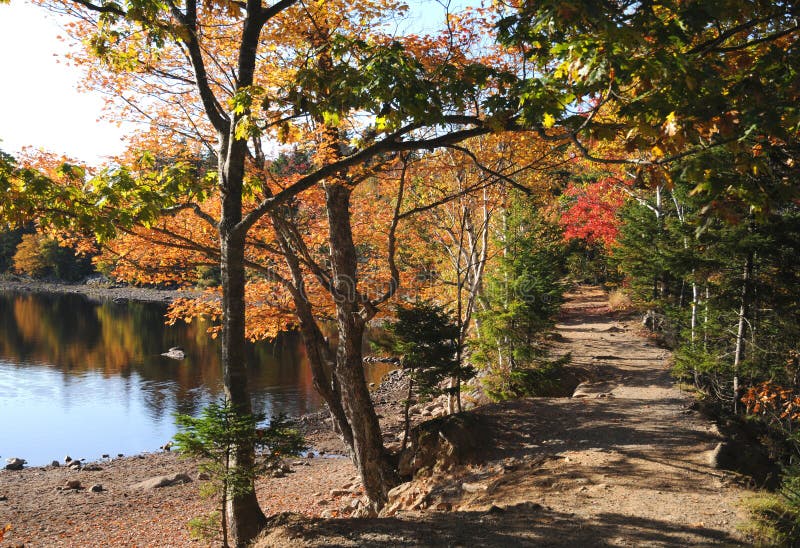 Family Enjoying Fall Colors Stock Photo - Image of park, gatineau: 186272