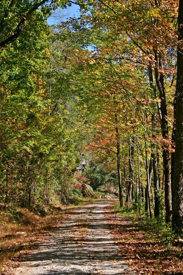 Autumn Trail stock image. Image of nature, road, leaves - 46219811