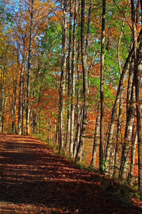 Autumn Landscape stock photo. Image of foliage, landscapes - 21818814