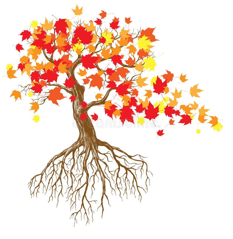 Autumn tree silhouette stock vector. Illustration of silhouette - 33983004