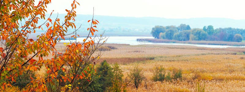 Autumn Tree on a Background of a Wide Plain with a River, Panorama ...