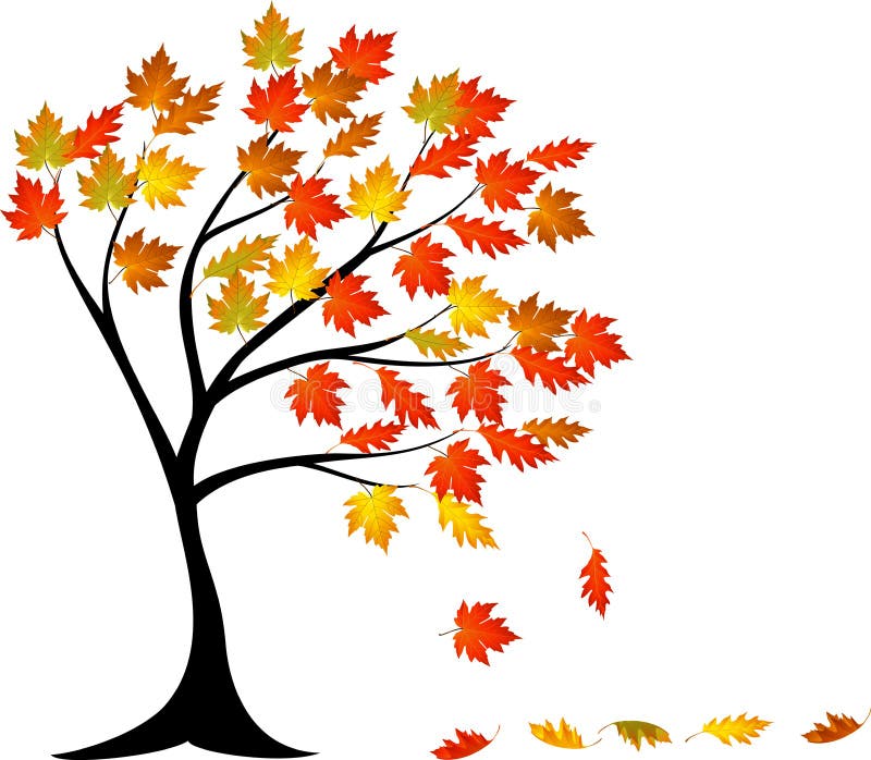 Autumn tree cartoon stock vector. Illustration of bright - 77943860