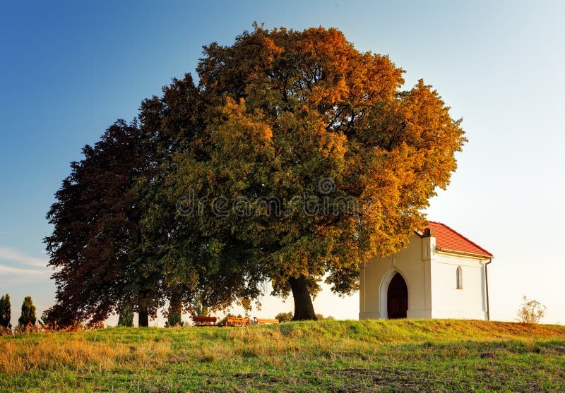 Autumn tree and chapel stock image. Image of garden, colorful - 34396511
