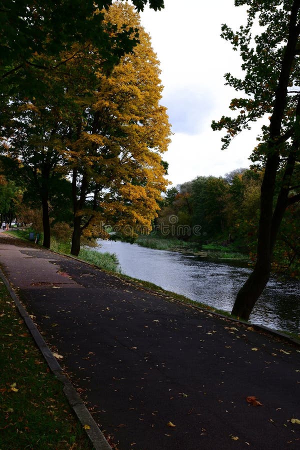 Autumn Tree with Deep Shadows Near a River and a Walking Path. Stock ...