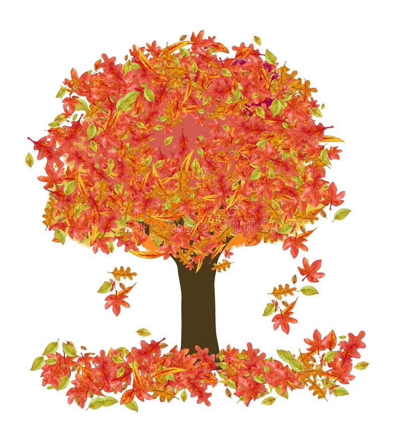 Autumn Tree stock illustration. Illustration of maple - 77023235