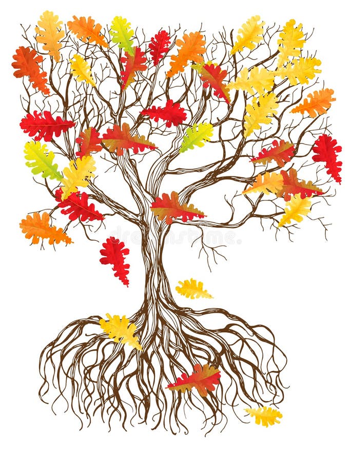 Autumn tree stock vector. Illustration of background - 15663587