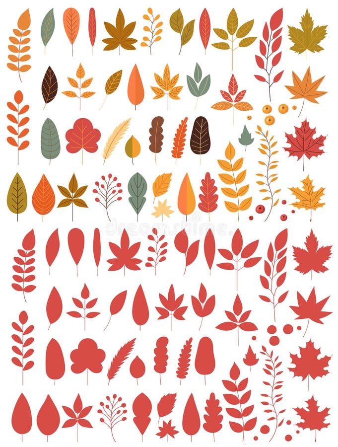 Autumn Tree Leaves Set, on White Background, Vector Vector Stock Vector ...