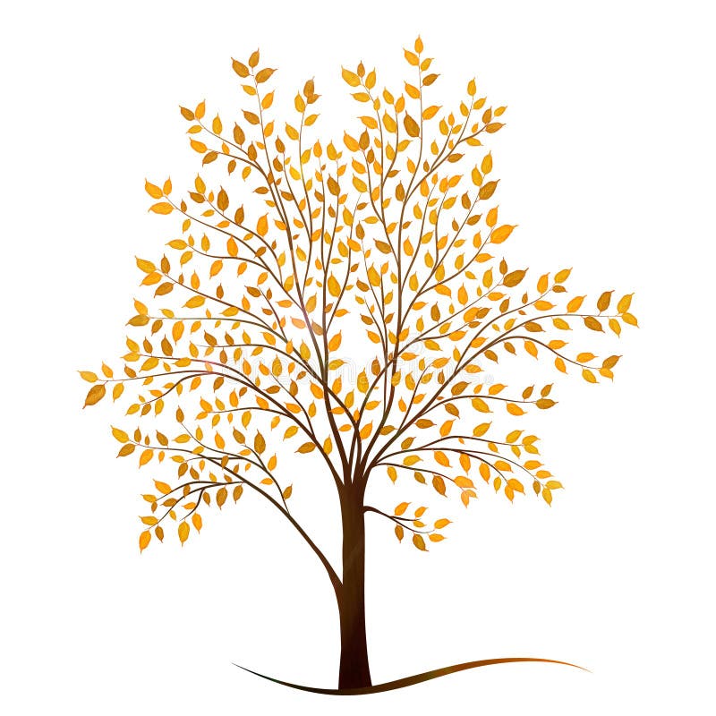 Autumn Tree with Leaves on White Background Stock Vector - Illustration ...