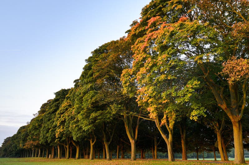 Family at the beach stock image. Image of vacation, sunset - 5696673