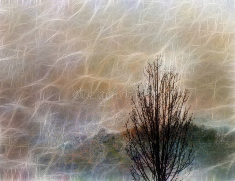 Autumn tree stock photo. Image of autumn, flora, botany - 138447382