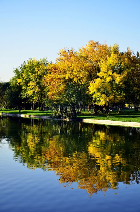 Autumn tree near the lake stock photo. Image of blue - 27446976