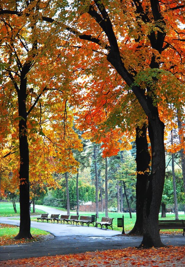 Fall Driveway stock image. Image of lake, fencing, country - 45808397