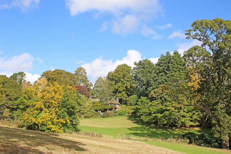 Autumn tree in a parks stock photo. Image of fall, maple - 206650352