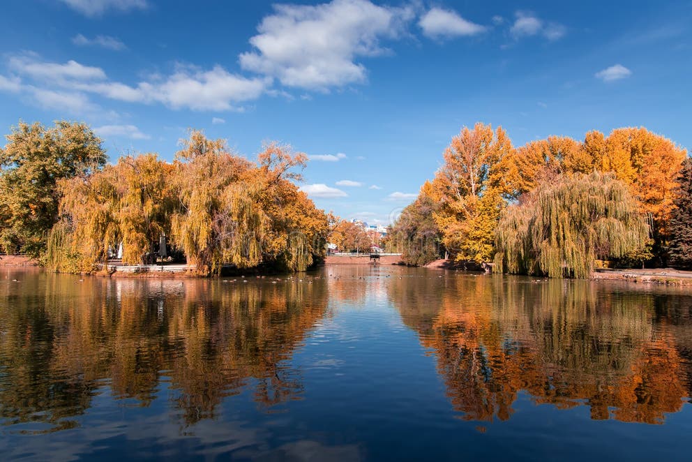 Autumn Tree Reflection in Water Lake at the Daytime Stock Image - Image ...