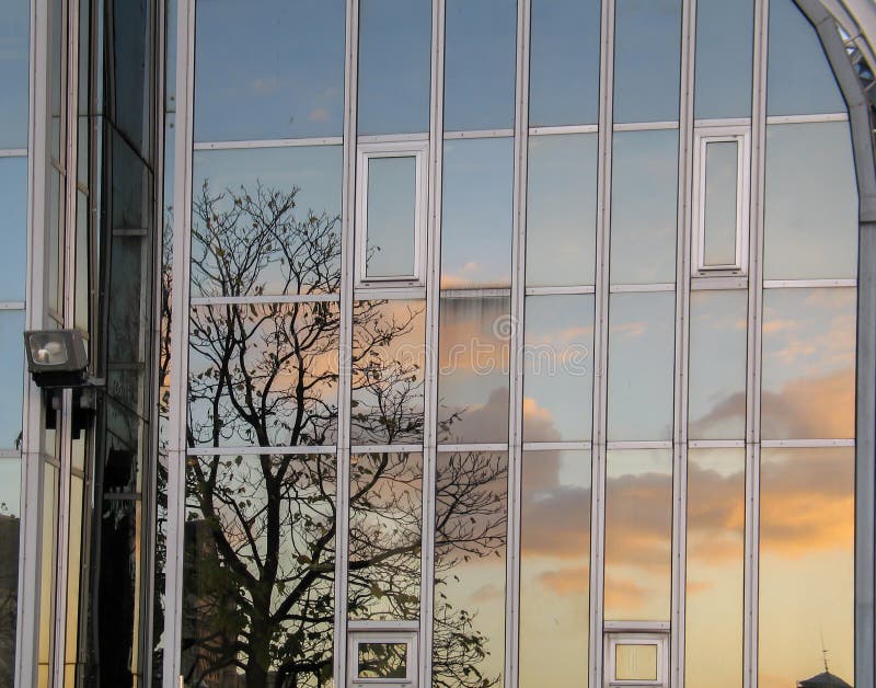 Autumn Tree Reflection in Window at Sunset. Paris Stock Image - Image ...
