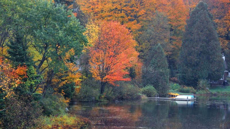 Autumn Tree Reflections in the Pond Stock Photo - Image of chat, hiking ...