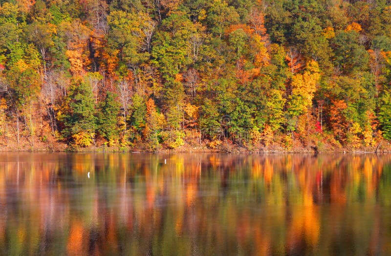 Autumn tree reflections stock image. Image of reflection - 77308577