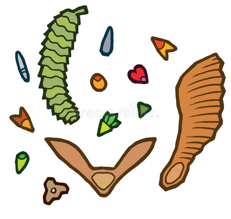 Autumn tree seeds stock vector. Illustration of botanical - 65326471