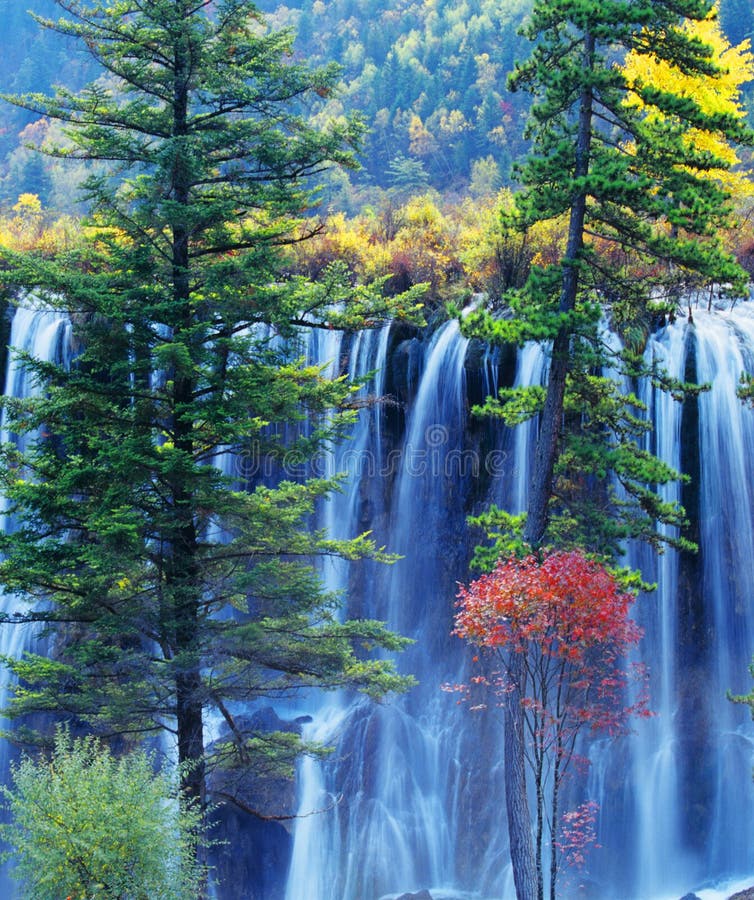Autumn Tree and Waterfall in Jiuzhaigou Stock Photo - Image of ...
