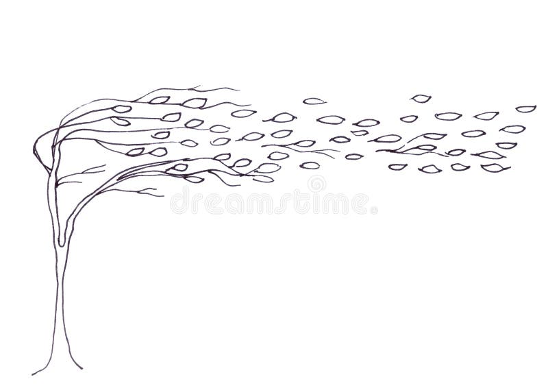 Leaves Blowing In The Wind Drawing