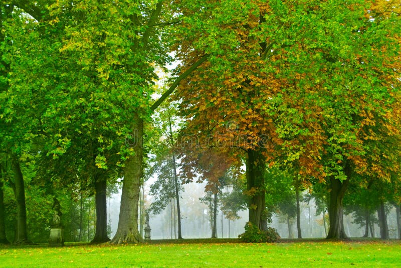Autumn trees stock photo. Image of grove, autumn, green - 12509094