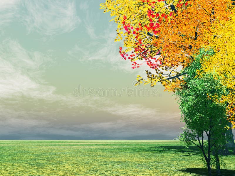 Autumn trees stock photo. Image of green, color, colorful - 5777428