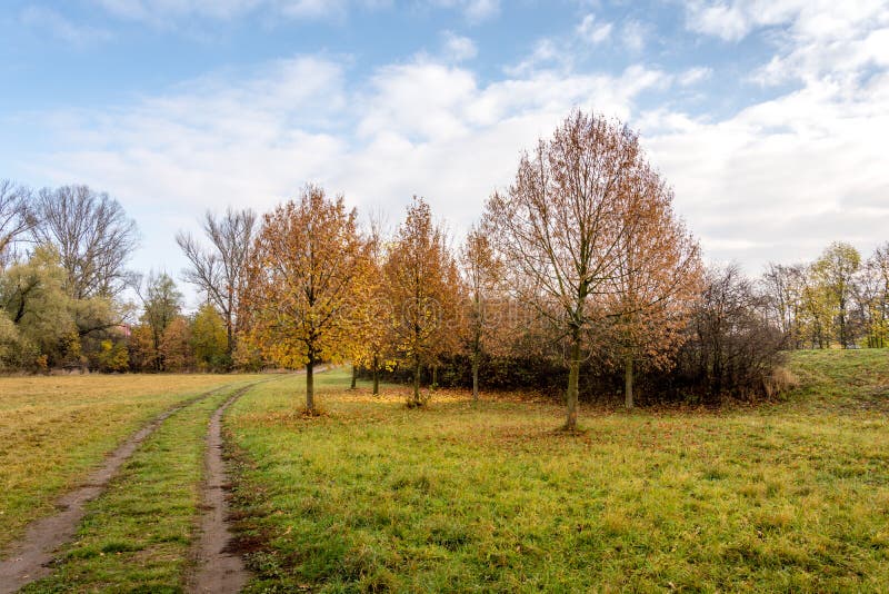 Colored Rees Stock Photos - Free & Royalty-Free Stock Photos from ...