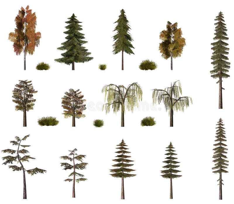 Summer Trees Billboard Collection on White Stock Image - Image of ...