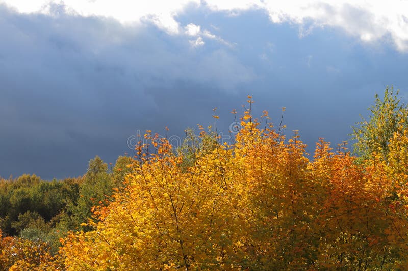 Autumn trees and clouds stock image. Image of autumn - 103155013