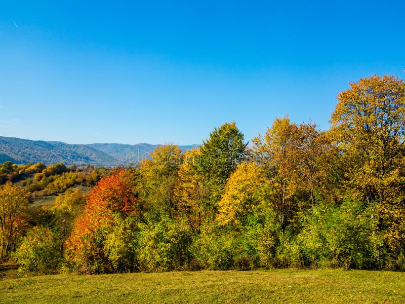 Autumn Trees in Countryside Stock Photo - Image of colorful ...