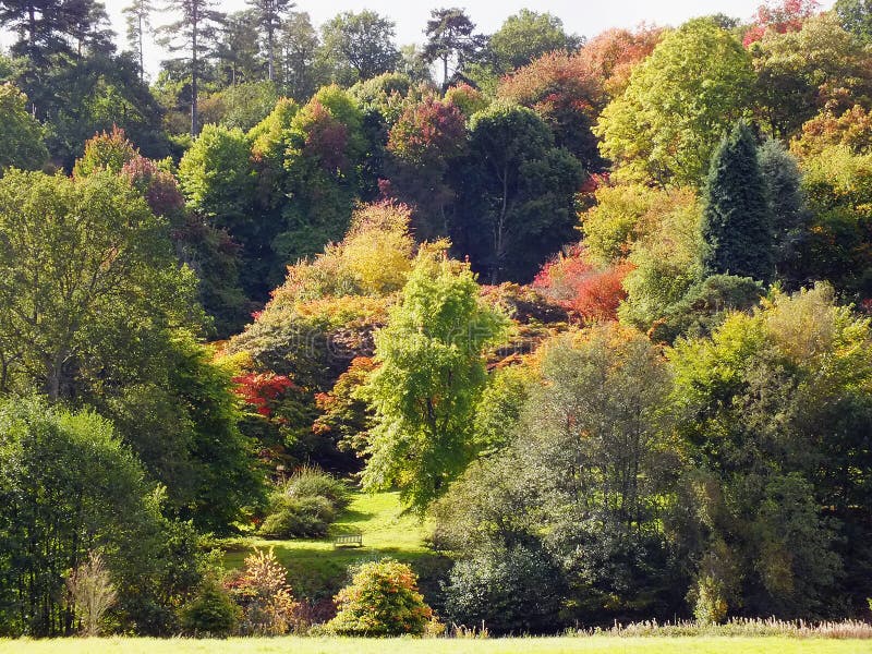 Autumn Trees stock image. Image of natural, september - 91728533