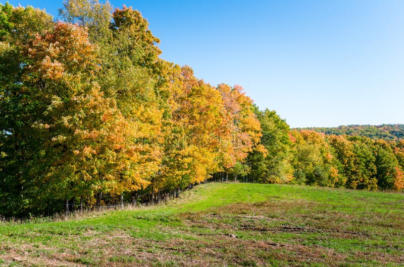 Autumn Trees on the Edge of a Field Stock Photo - Image of colorful ...