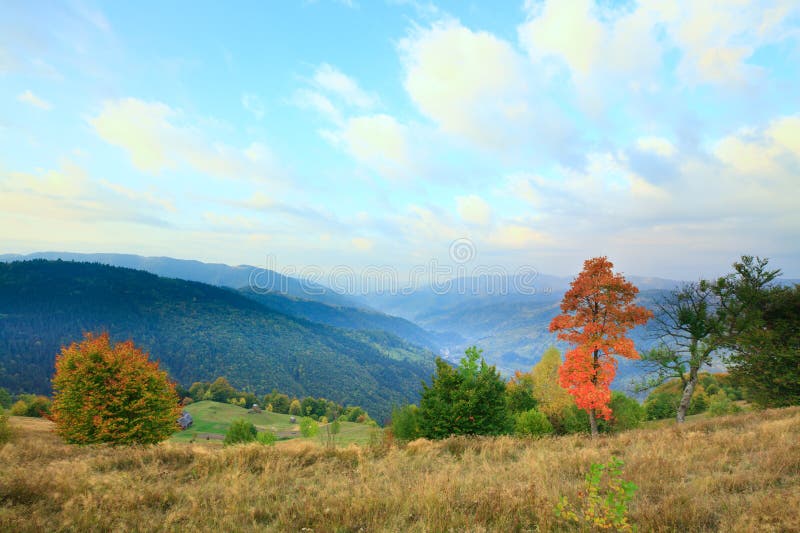 Autumn Trees on Evening Mountainside. Stock Image - Image of september ...
