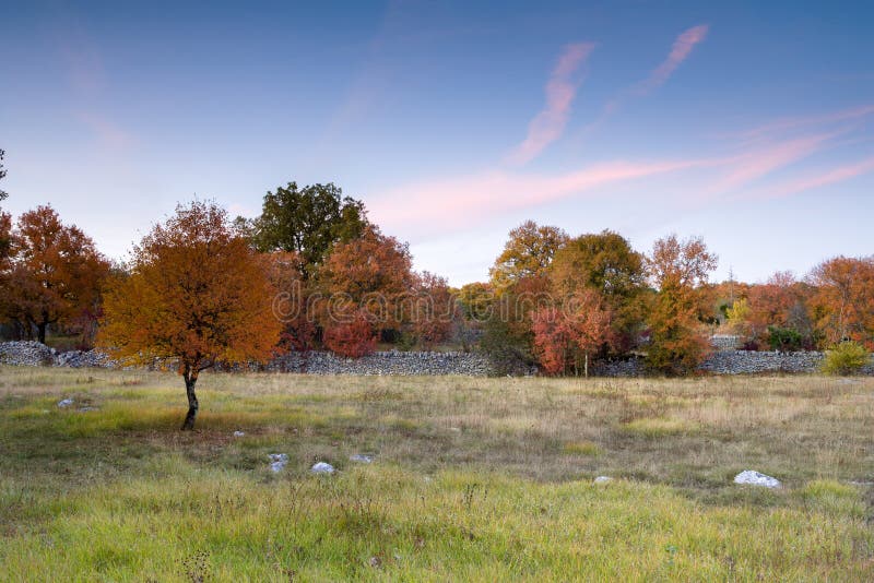 Autumn trees stock image. Image of countryside, landscapes - 61754909