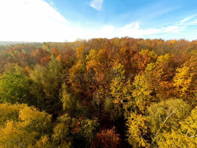 Autumn Trees Forest Aerial View Stock Image - Image of forest, leaves ...