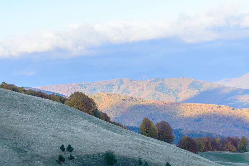 Autumn Trees in the Forest Background. Horizontal Panoramic View Stock ...